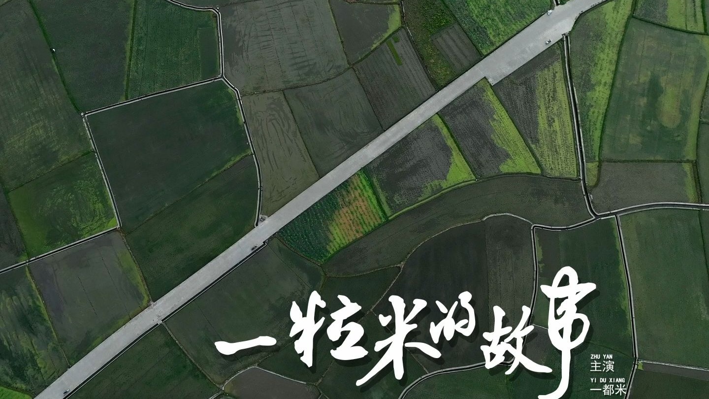 柳州工学院 2025届 毕业设计作品《一粒米的故事》