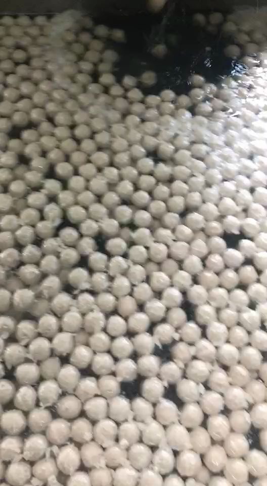 广西北海鱼丸生产车间加工现场