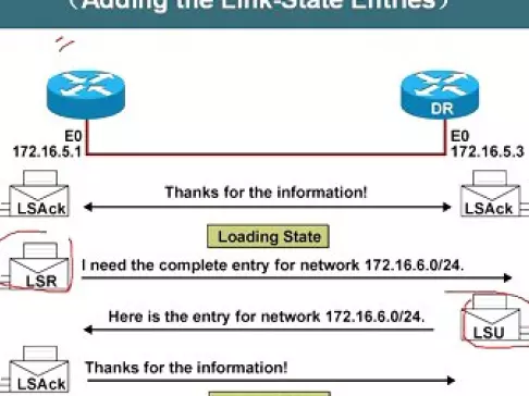 7.3.3-OSPF路由器类型_LSA棒棒堂_网络类型_RouteID_DR_BDR实验
