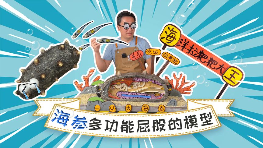 海参多功能屁股,能干饭,呼吸,还能养鱼?!它究竟咋做到的?