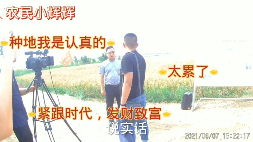 农科专家地头现场解说小麦种植过程。听完蠢蠢欲动!赶紧下手