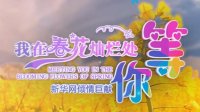 安仁稻田公园专题宣传片(我在春花灿烂处等你)