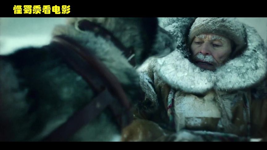 真实故事改编 年度催泪温情之作 人类的好朋友:多哥 Togo (2019)