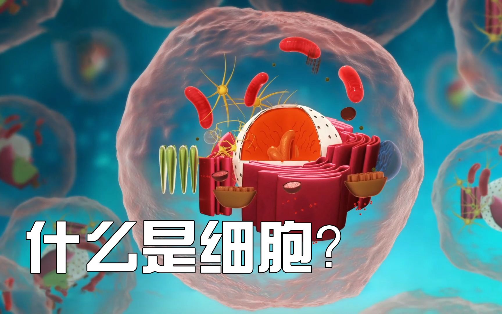 什么是细胞