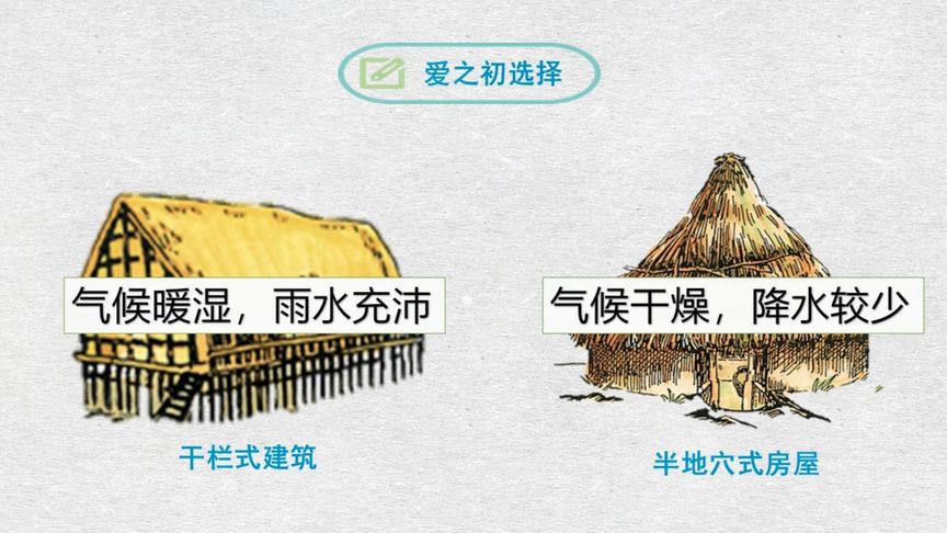【七上历史】第2课:原始农耕生活 | 在1万年前种田的体验?
