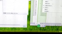 表格中单列手机号