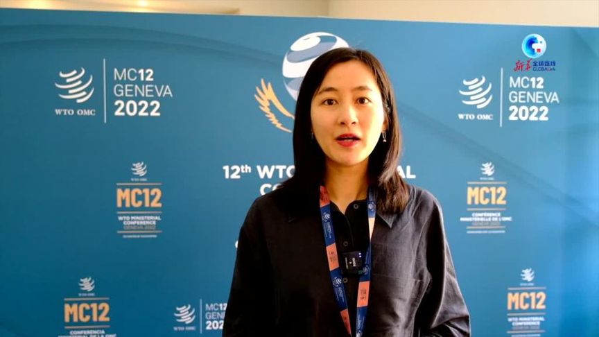全球连线|世贸组织第12届部长级会议聚焦多项关键议题