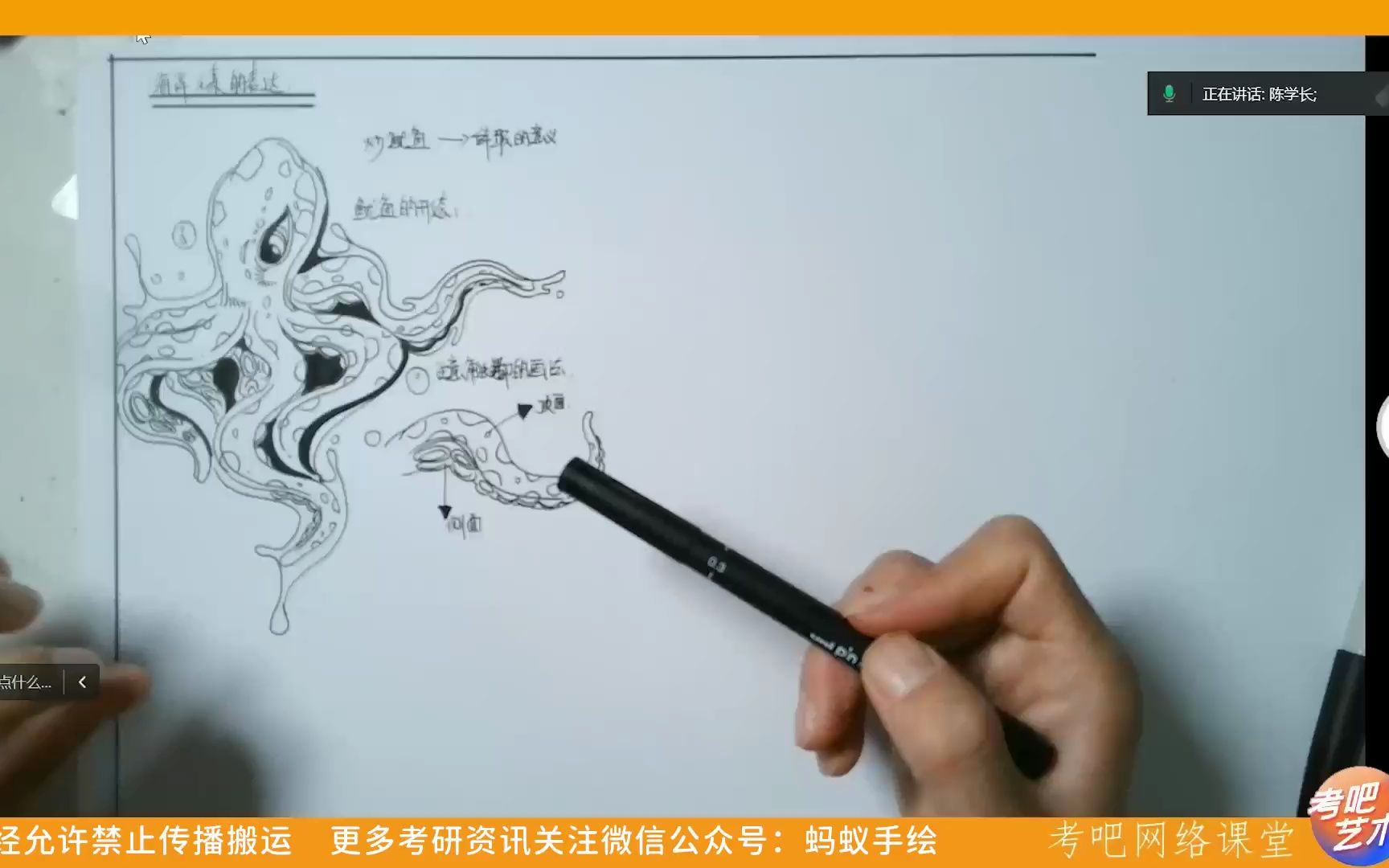 〖考研手绘练习〗视传手绘试听课-9-海洋动物示范 视频分享~