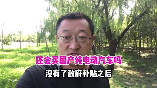 没有了政府补贴之后还会买国产纯电动汽车吗?
