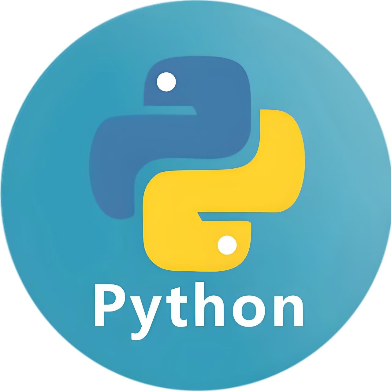 python入门特训营 