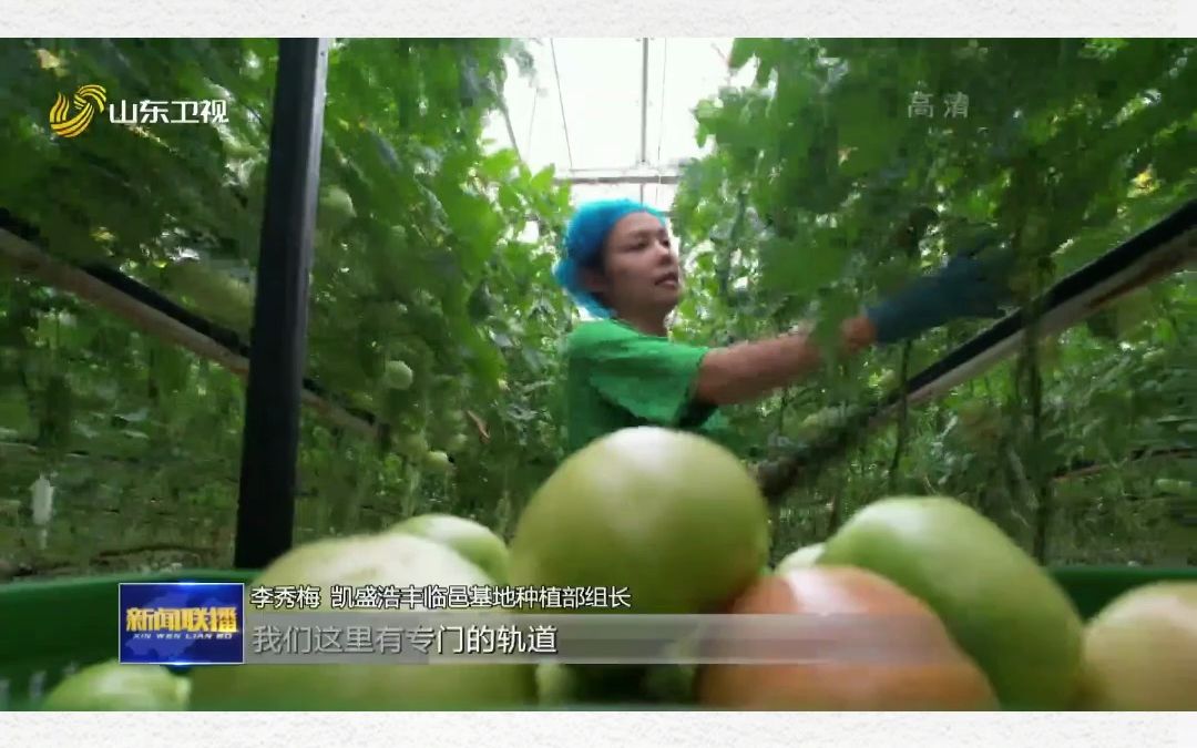 山东新闻联播报道凯盛浩丰数字赋能传统农业