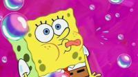 海绵宝宝的原型,这才是真正的海绵!