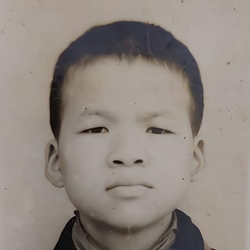 dongzheng0215 