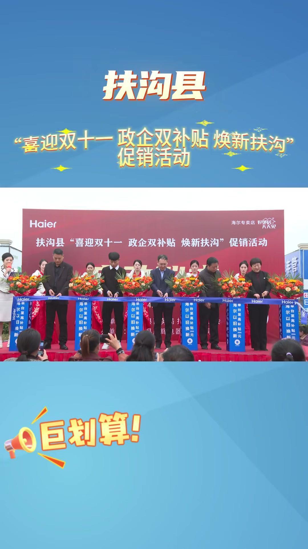 扶沟县"喜迎双十一政企双补贴焕新扶沟"促销活动