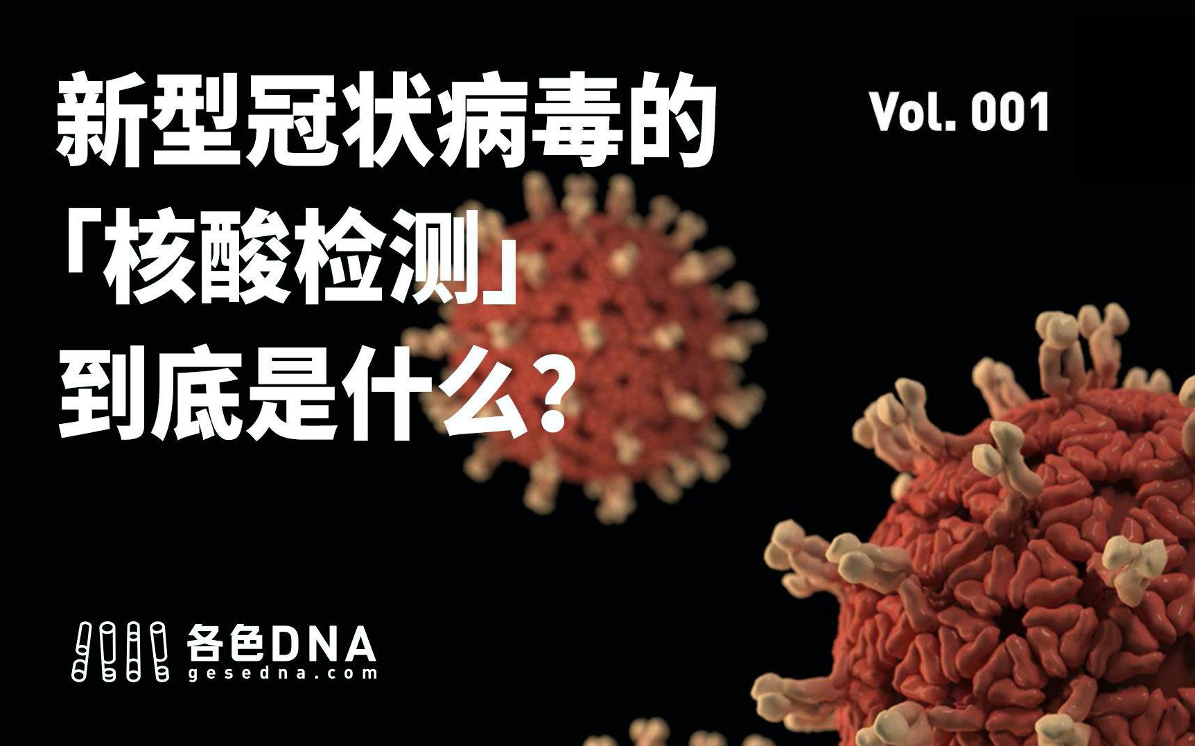 新冠状病毒的「核酸检测」到底是什么?