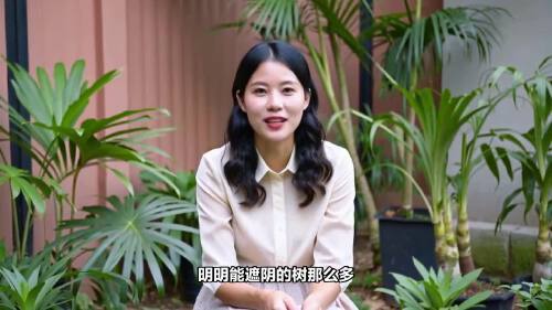 香樟树寓意揭秘!长寿吉祥的象征,你家门口有吗?