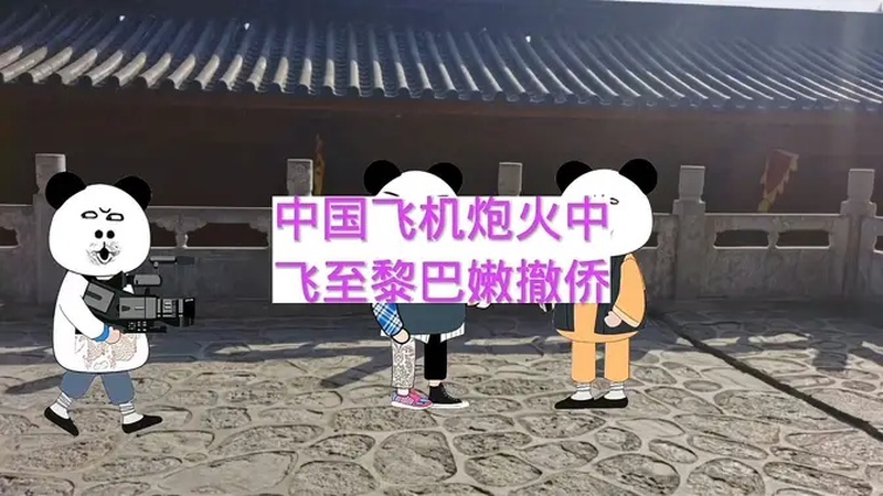 中国飞机炮火中飞至黎巴嫩撤侨