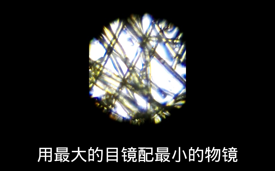 拼多多上花了几十块的显微镜,还真的可以看