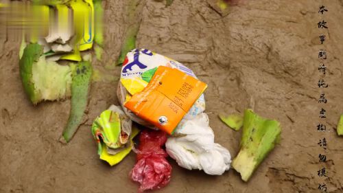 蒸鸡蛋的治愈魔法!看定格动画如何让美味在指尖绽放