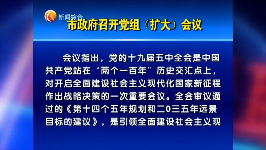 市政府召开党组(扩大)会议