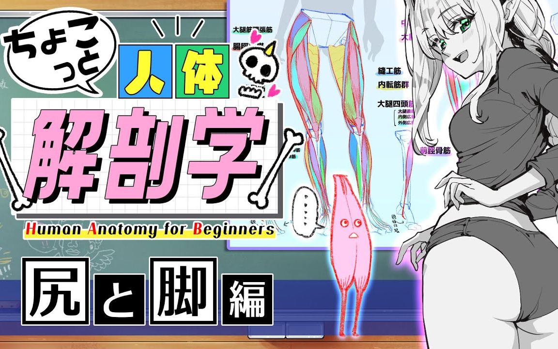【汉化】人体解剖学入门-臀部和腿部