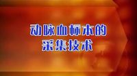 41动脉血标本的采集技术