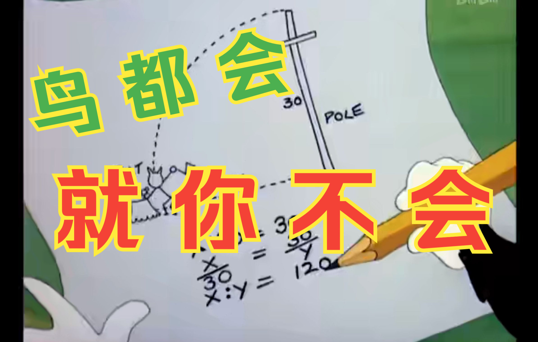 (趣味数学1)你的数学可能被一只鸟吊打了