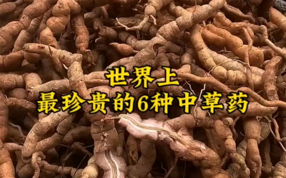 世界上最珍贵的6种中草药