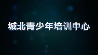 scratch少儿编程系列之一《认识scratch》-城北青少年出品