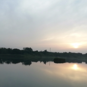 骝骅1 