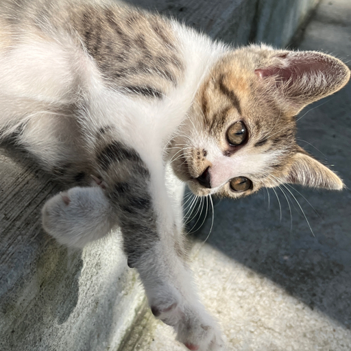 我还在轮回之外 