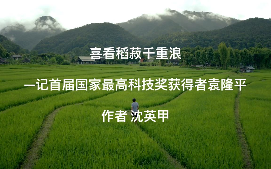 【高中语文】喜看稻菽千重浪 记首届国家最高科技奖获得者袁隆平 朗读