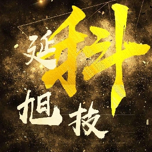 延旭科技 
