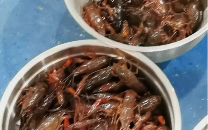 小龙虾自动包装机 活虾打包 #包装机厂家 #自动包装机