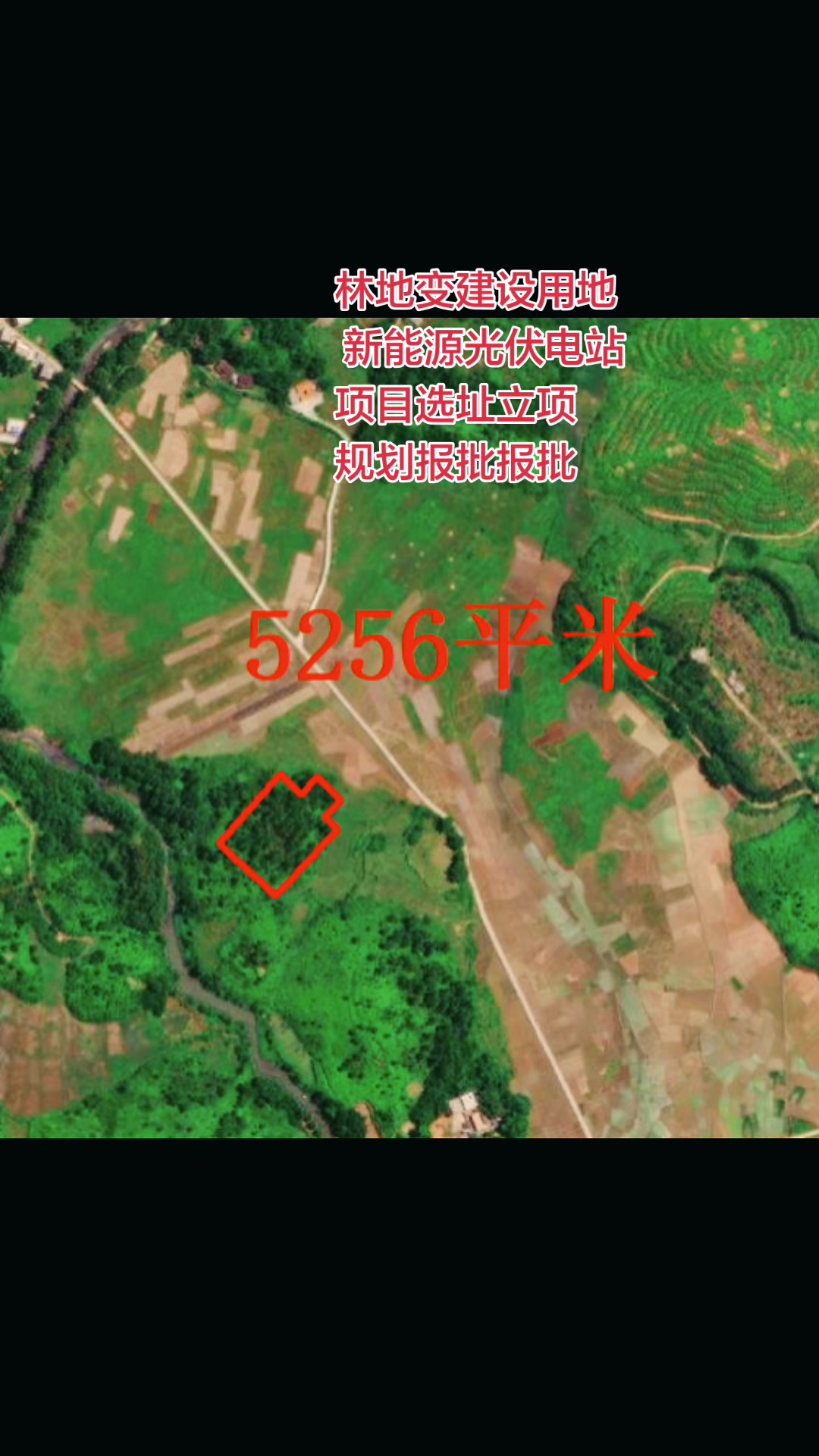 林地光伏电站项目 #农转建 #光伏电站 #选址 #规划 #报批报建 项目 ...