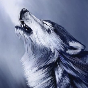 AlphaWolf_王 