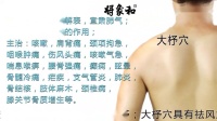 将象和中医艾灸针灸取穴-大杼穴