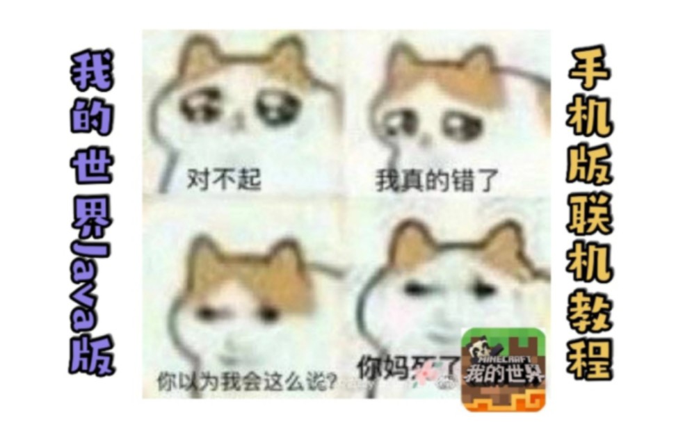 我的世界手机Java版联机教程,手机房主.远程联机_我的世界