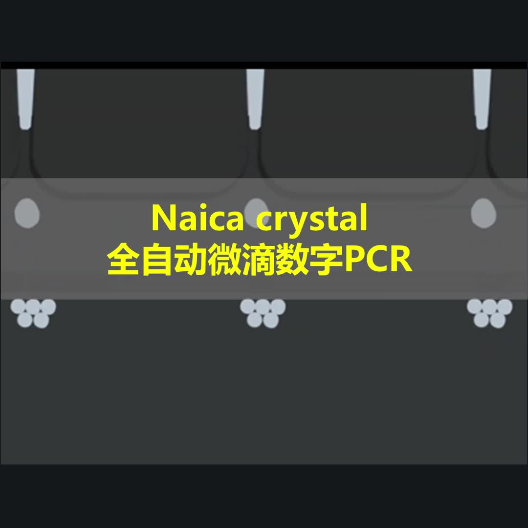 Naica crystal全自动微滴芯片数字PCR系统
