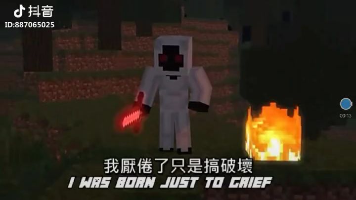 我的世界实体303的一生