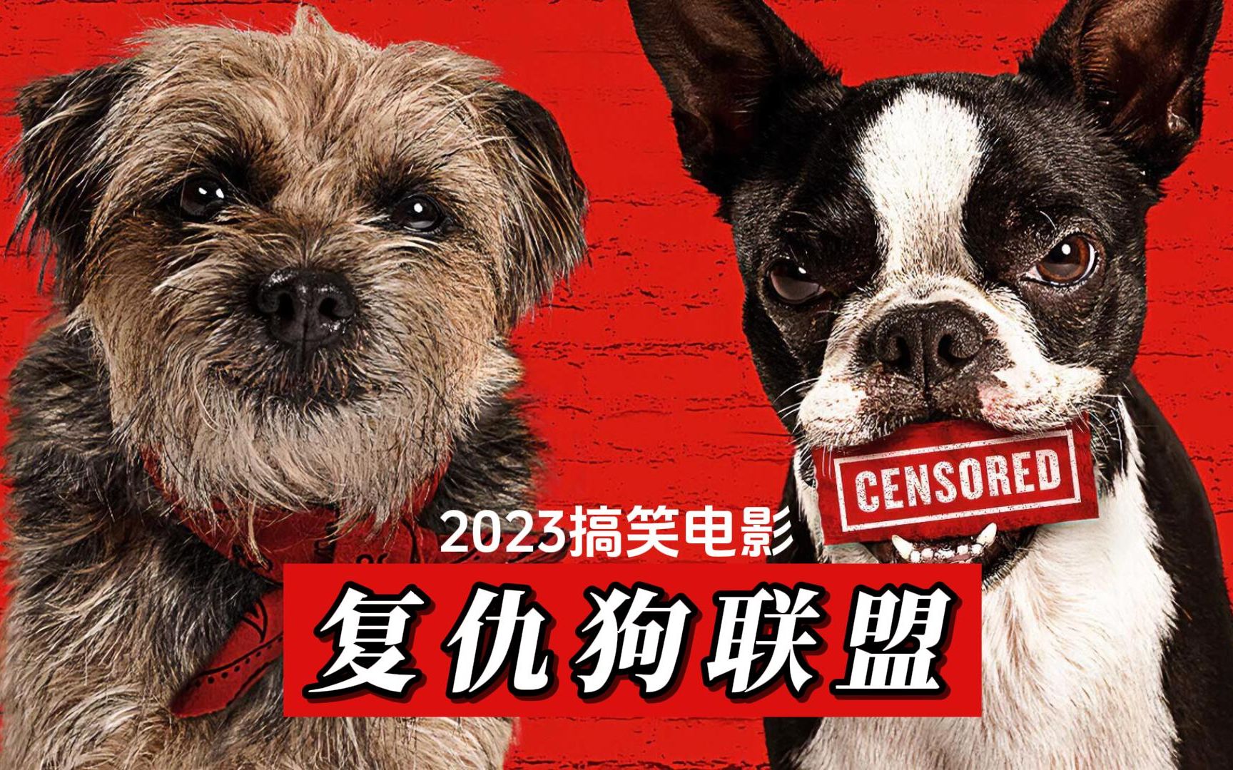 搞笑喜剧片《流浪狗》:笑到肚子痛,狗狗结盟复仇坏主人!