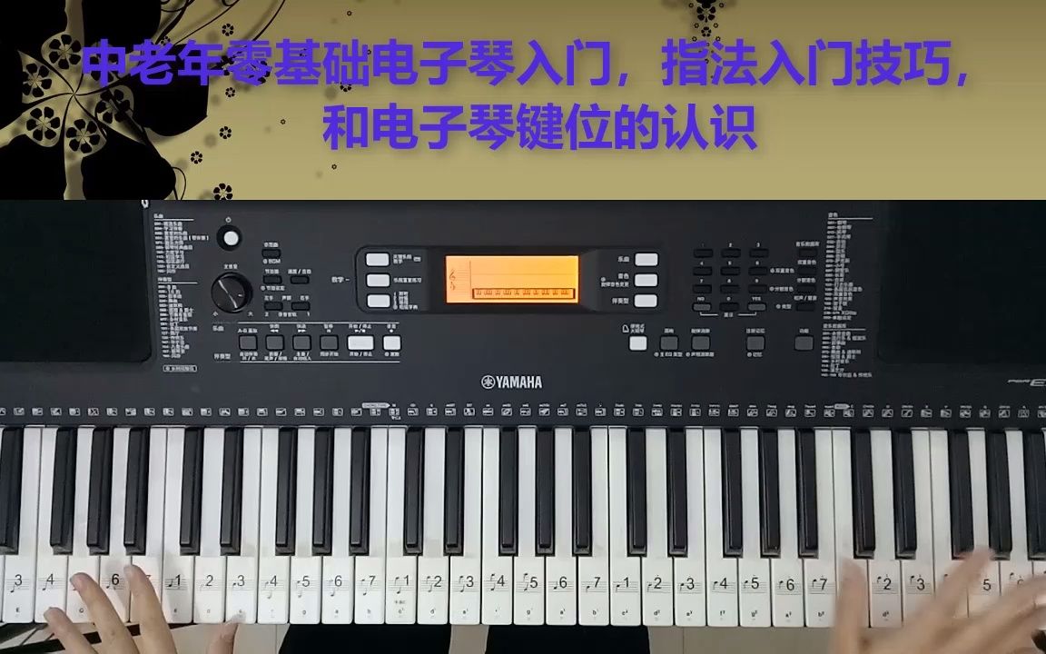 零基础入门学习电脑打字指法,电脑培训,第一课,认识键盘