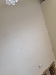 迷茫的恼火得很苏 