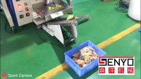 管件自动包装系统【PPR行业全自动高速计数包装机佛山生产商】