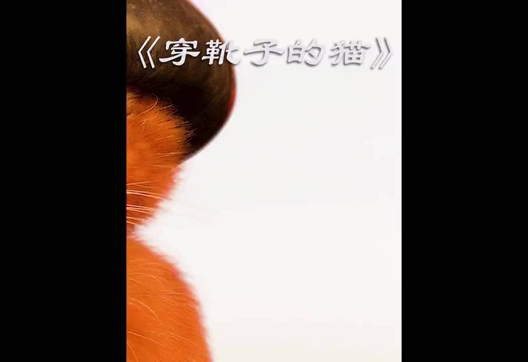 小树苗瞬间长成参天大树 #动画电影 #动画解说 #穿靴子的猫