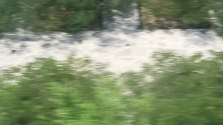 D2871次不停站通过威海北站。(南京南站到威海站)