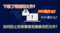 担心软件被植入木马? 快速检测软件是否是官方下载