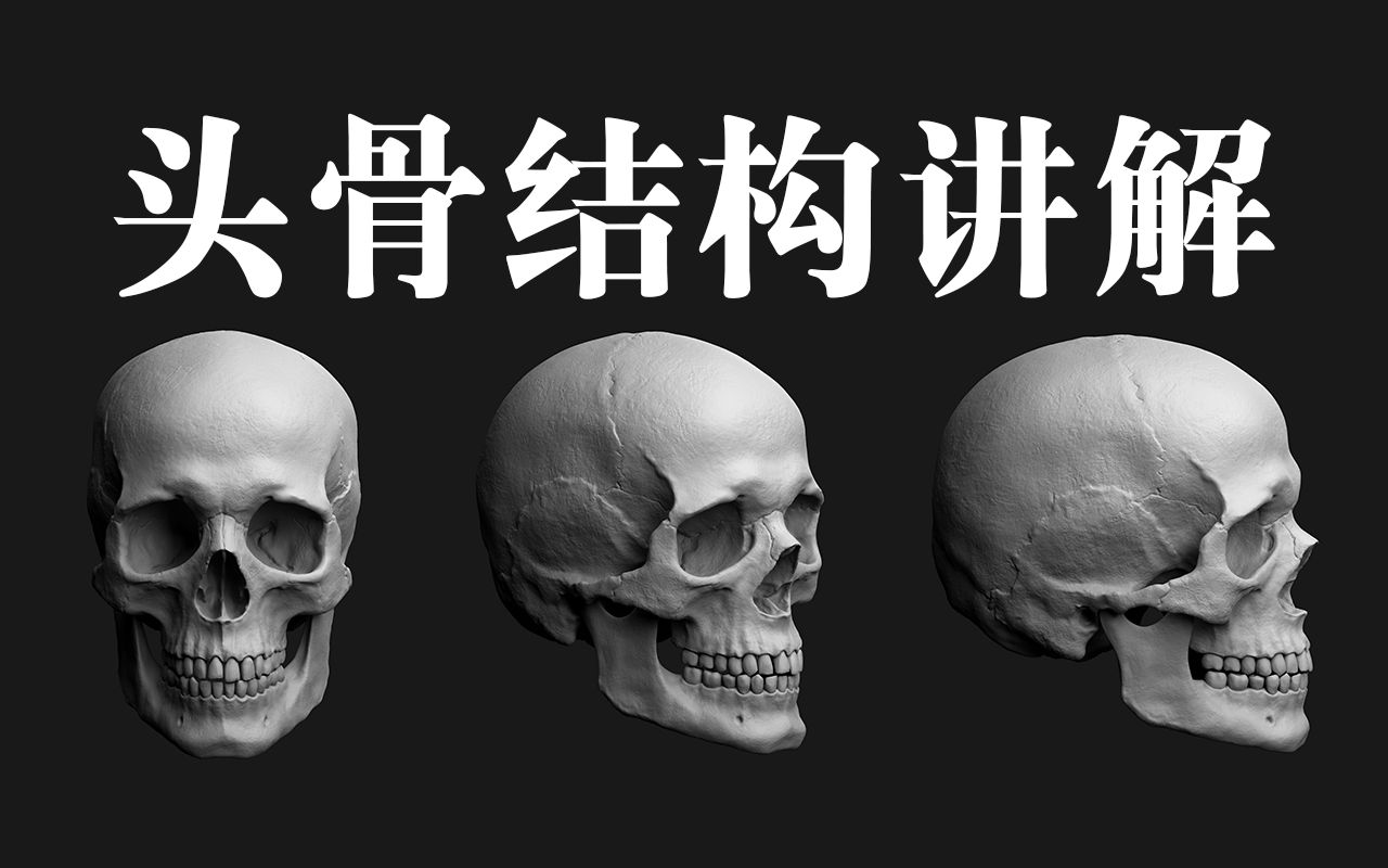 人体头部结构讲解教程——头骨制作 关于头骨比例,结构雕刻难点一网...