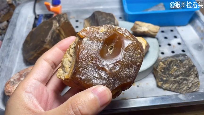 临沂沂河里的树化玉种类还是蛮多的,有机会可以去碰碰运气!