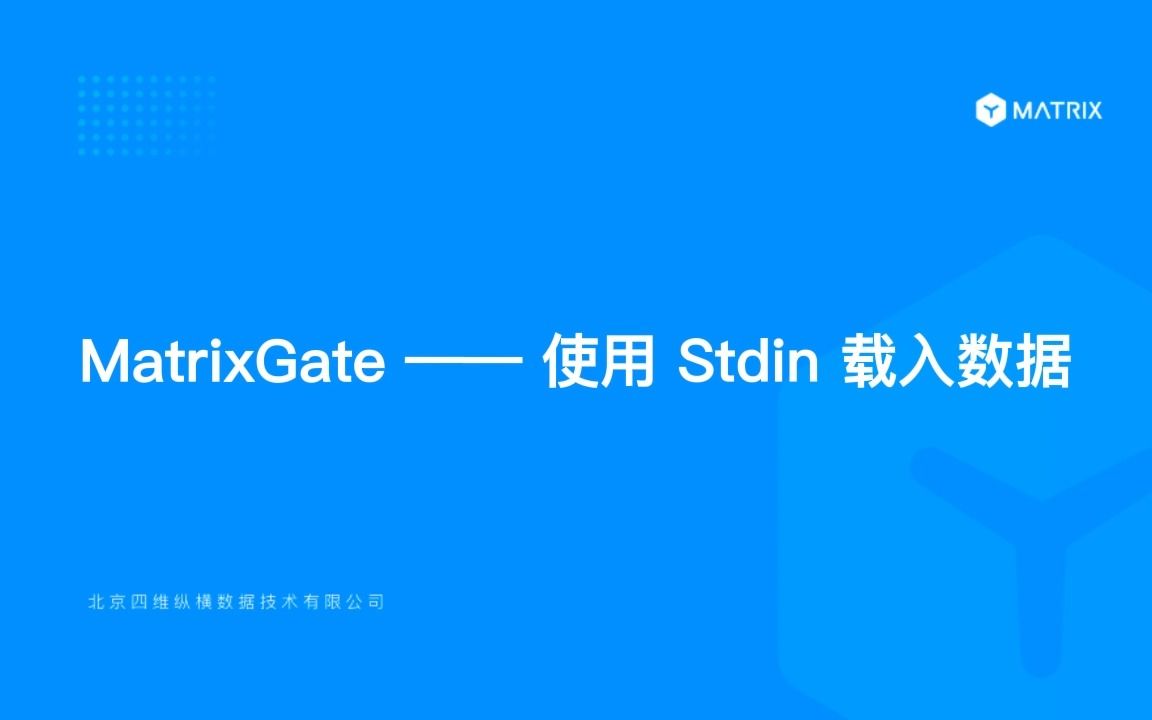 MatrixGate —— Stdin 载入数据